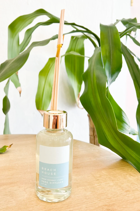 What's New – shopsalthouse